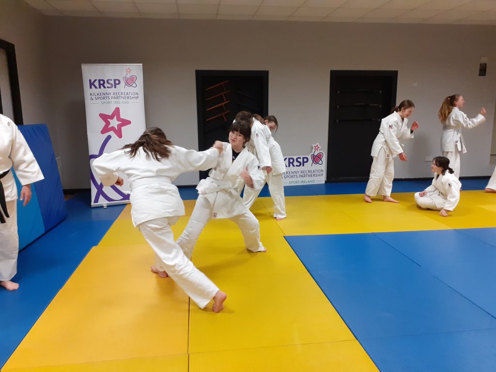 Kilkenny Recreation and Sports Partnership (KRSP) Empowers Local Sports ...